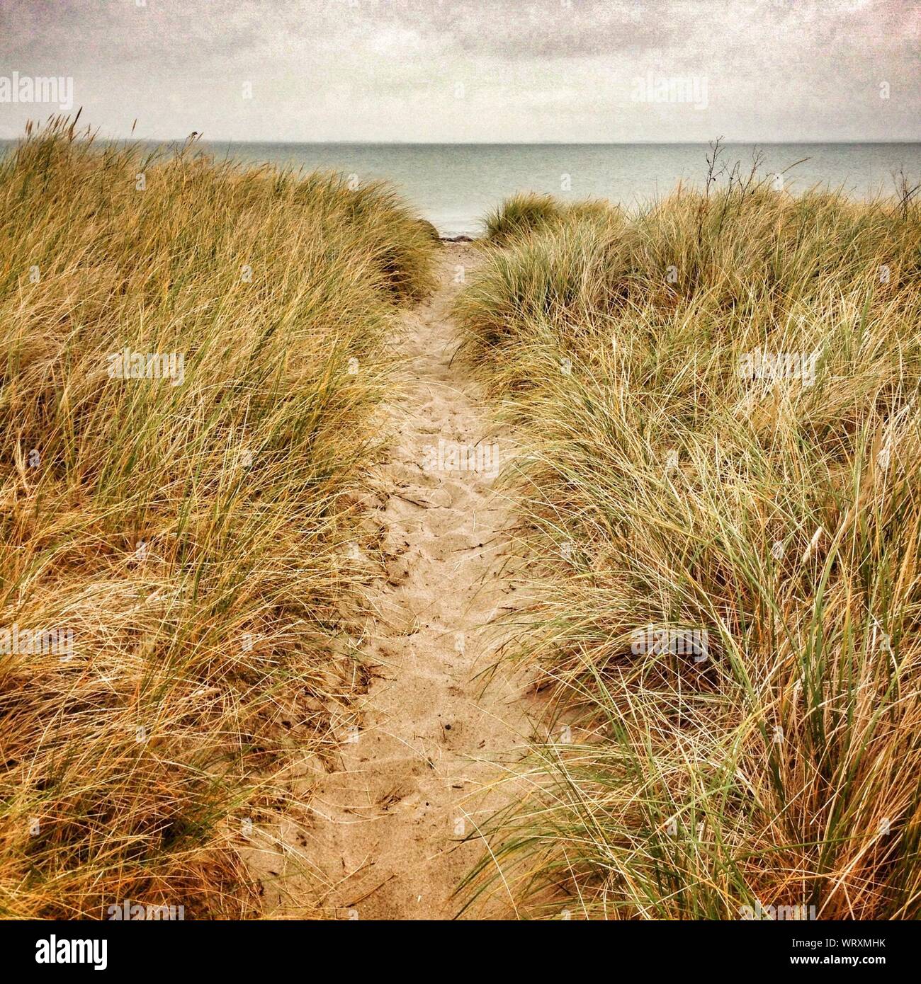 Through sand dunes hi-res stock photography and images - Alamy