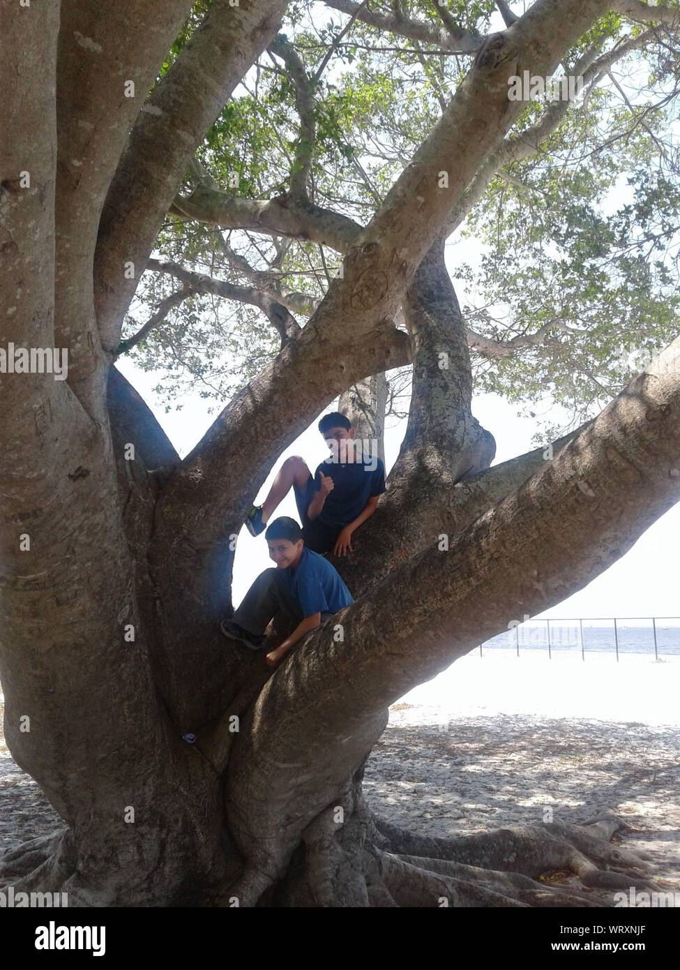 Two boys sitting on the branch hi-res stock photography and images - Alamy
