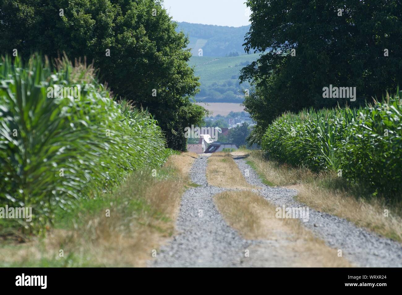 Village pathway hi-res stock photography and images - Alamy