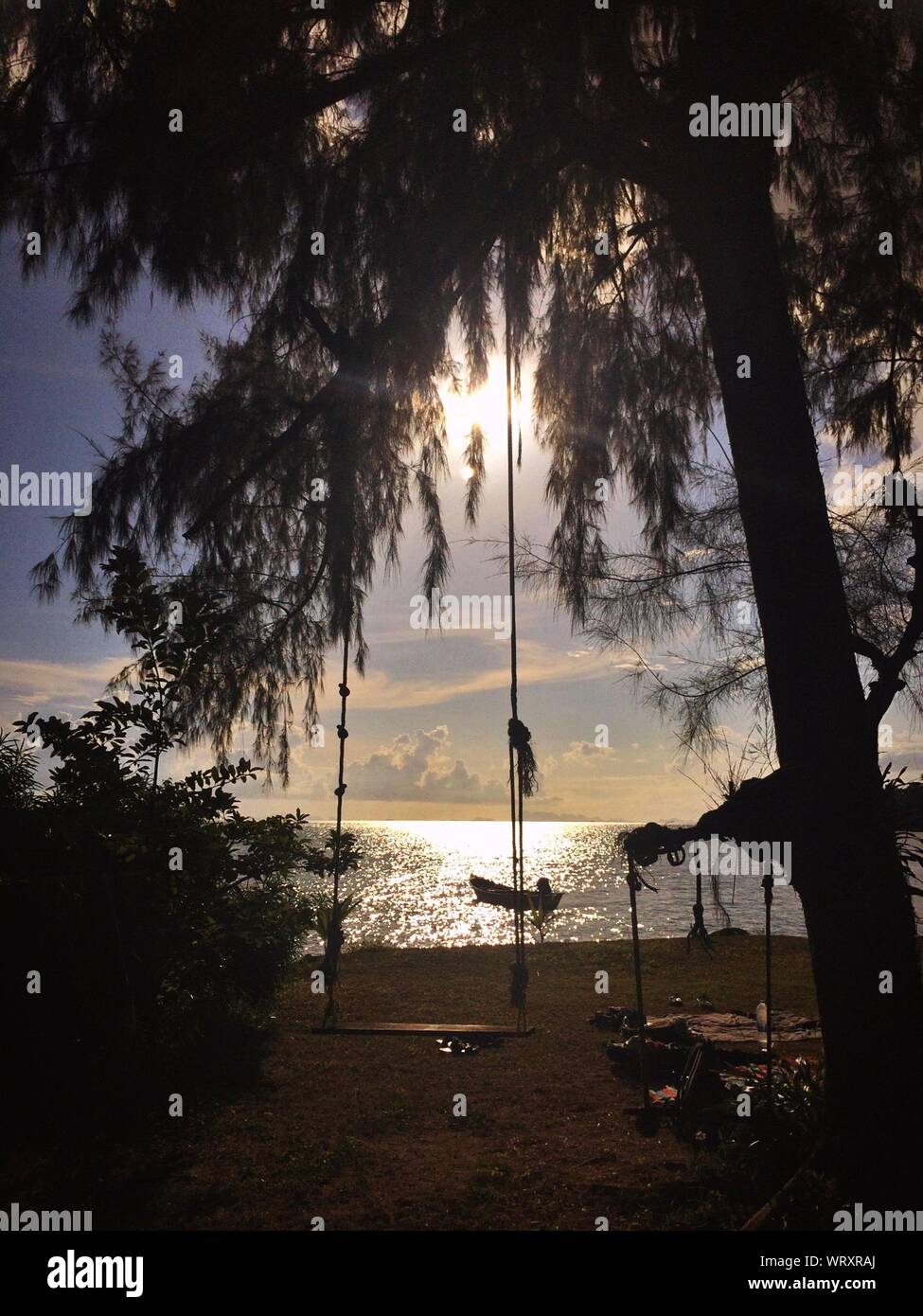 Rope Swing Hanging From Tree High Resolution Stock Photography and ...