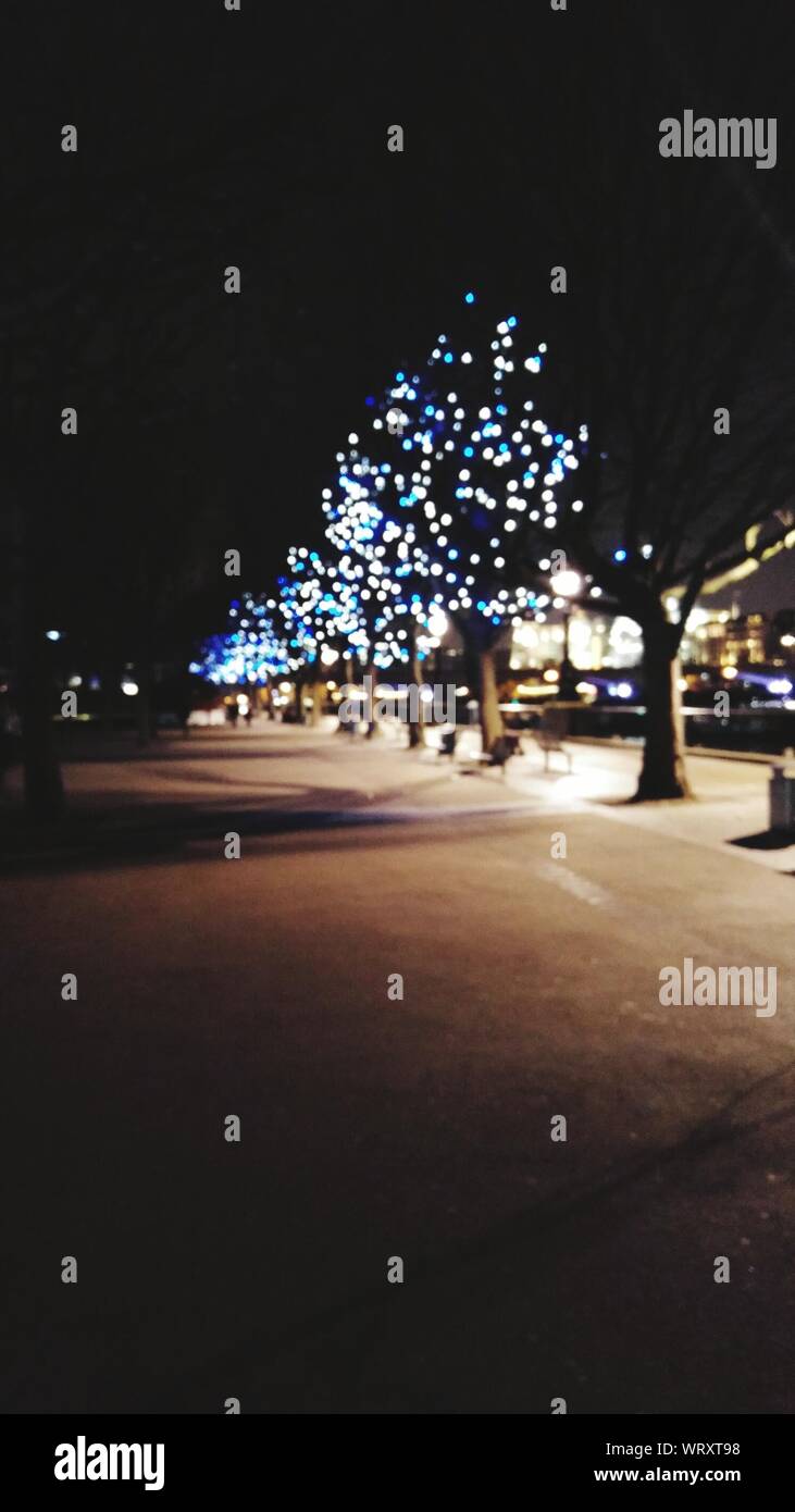 Trees street lighting hi-res stock photography and images - Alamy
