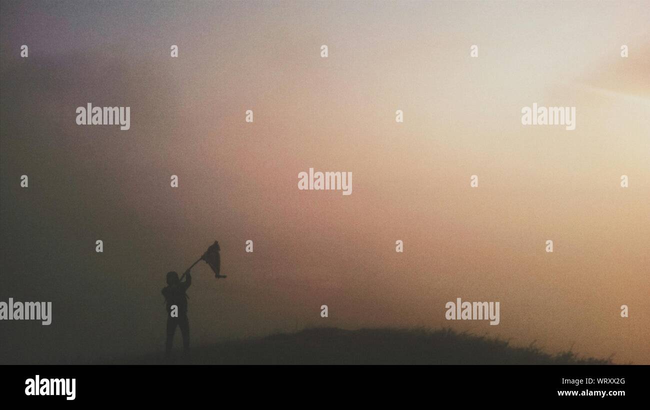 Holding flag silhouette hi-res stock photography and images - Alamy