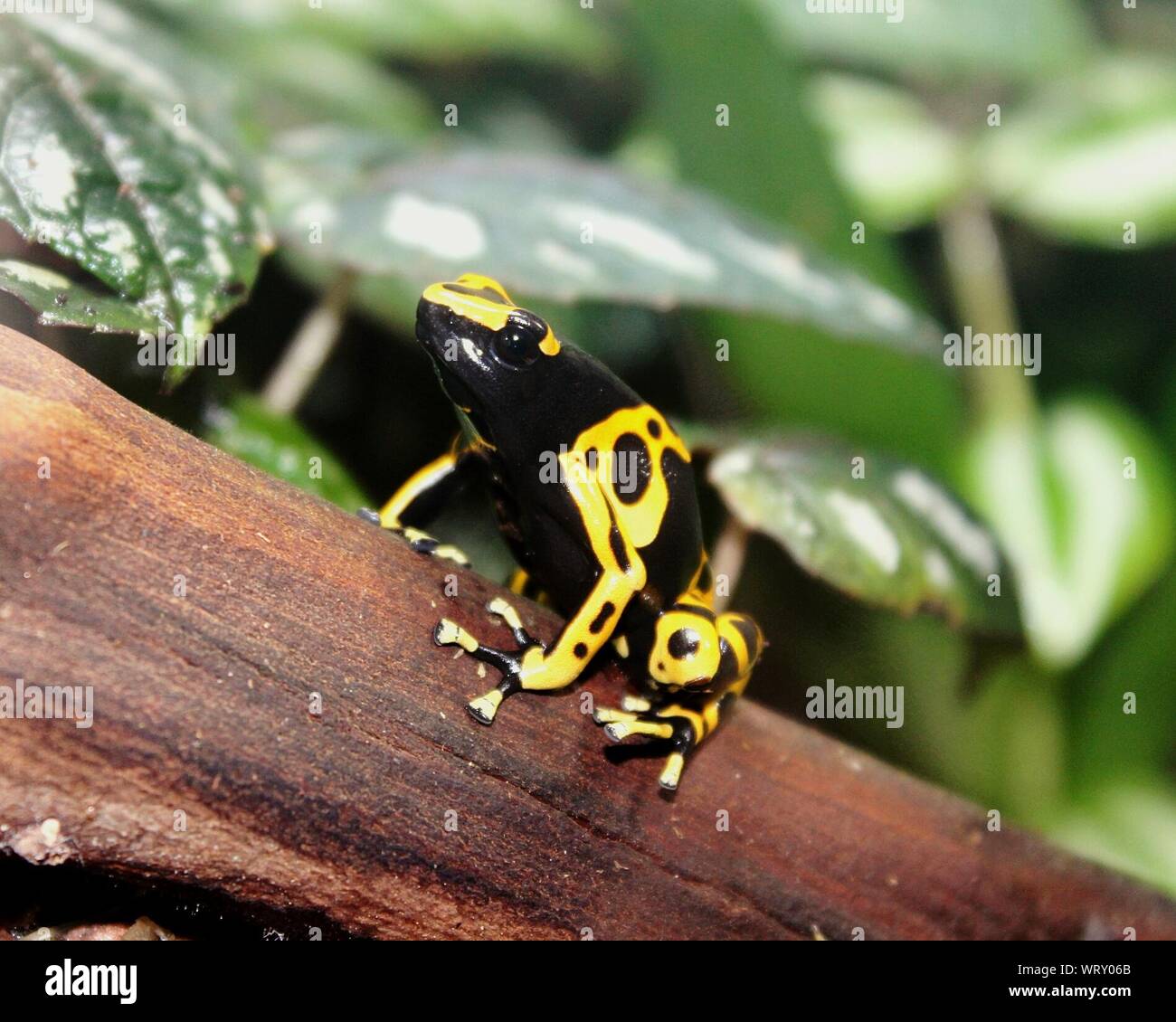 Arrow up markings hi-res stock photography and images - Alamy