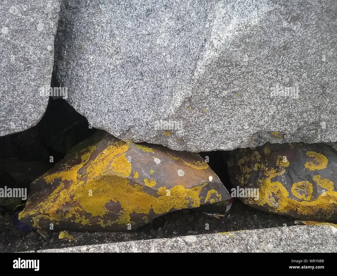 Lichens rocks hi-res stock photography and images - Alamy