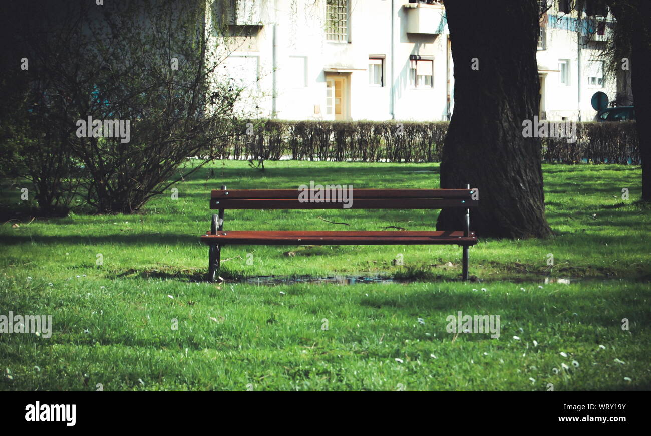 Empty park bench at park absence hi-res stock photography and images ...