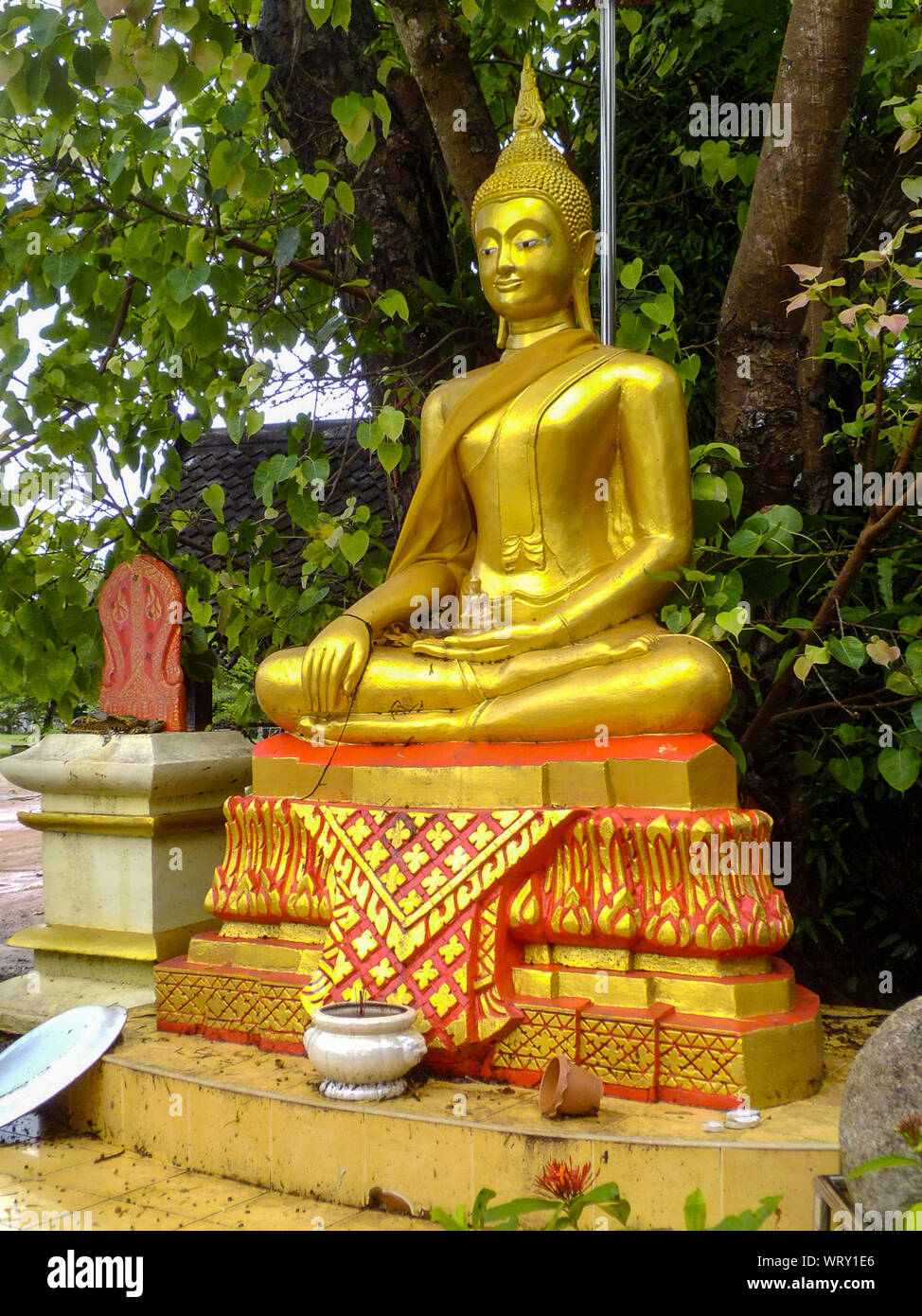 Buddha under tree High Resolution Stock Photography and Images - Alamy