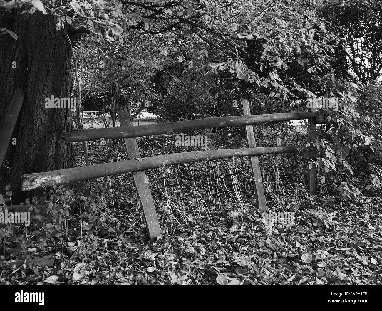 Broken wooden fence hi-res stock photography and images - Alamy