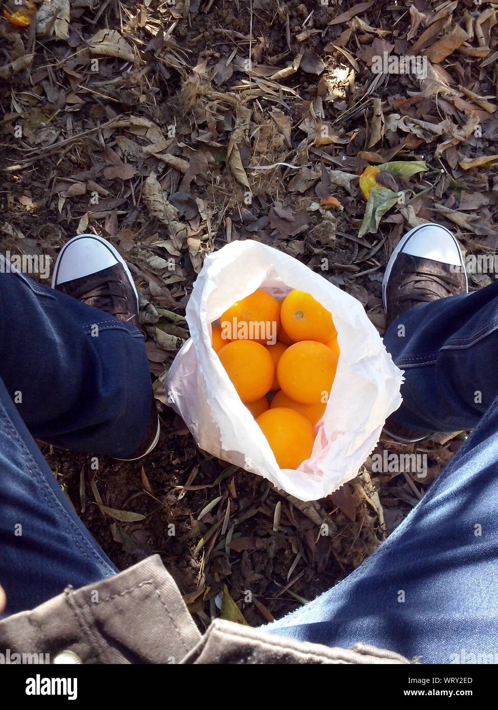 Oranges are the only fruit hi-res stock photography and images - Alamy