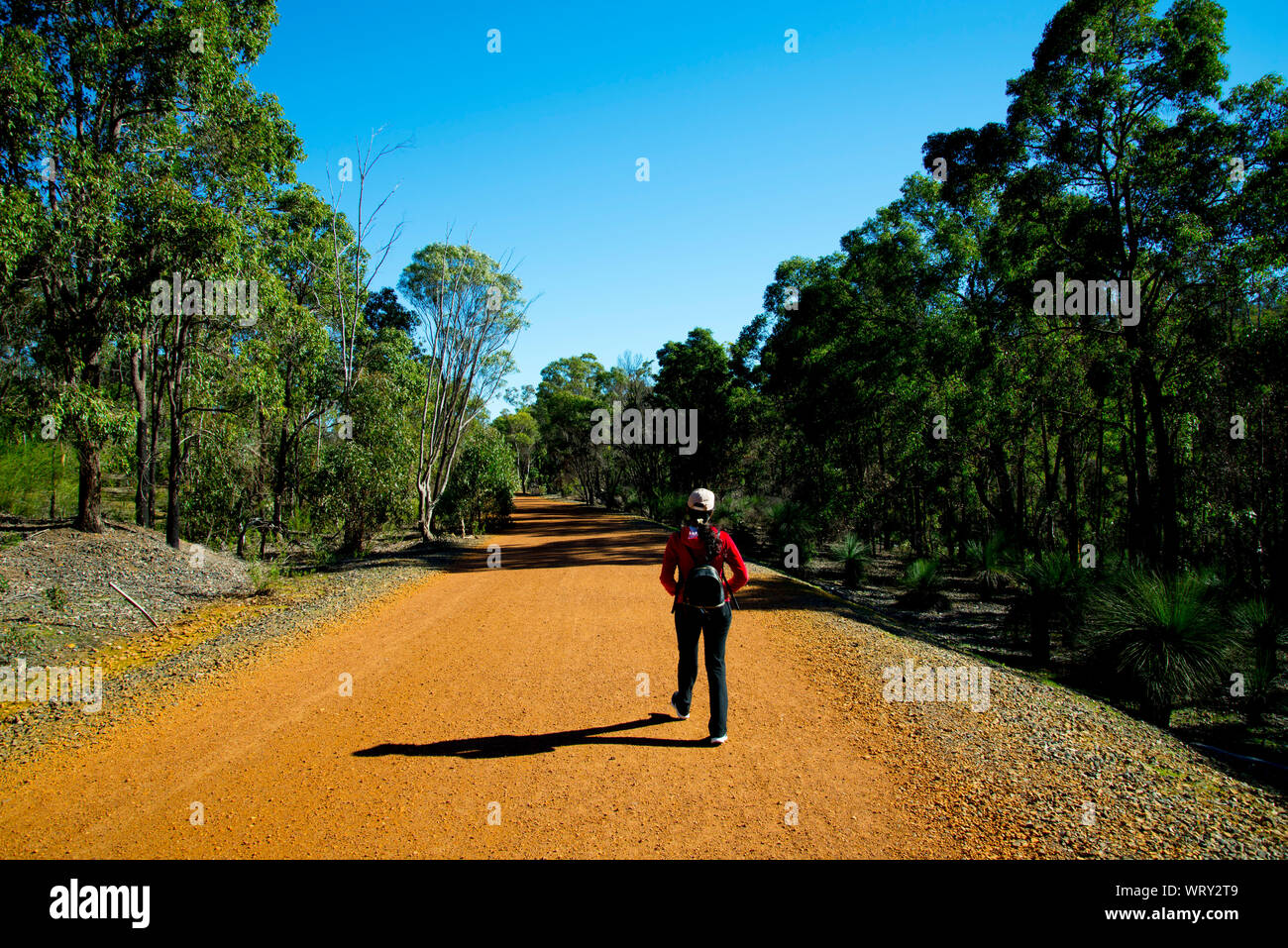 John Forrest National Park - Western Australia Stock Photo - Alamy