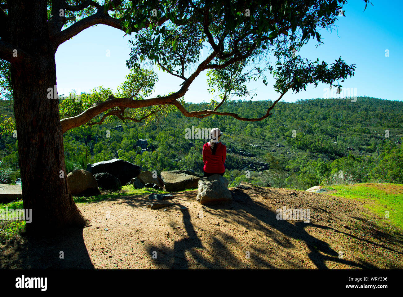John forrest hi-res stock photography and images - Alamy