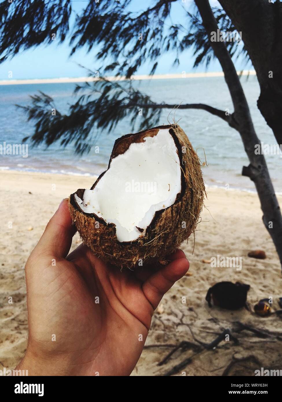Hand holding coconut on beach hi-res stock photography and images - Alamy