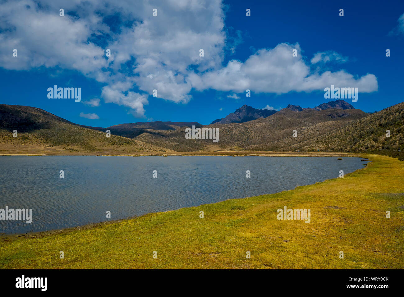 Shore of the lake Limpiopungo located in Cotopaxi national park ...