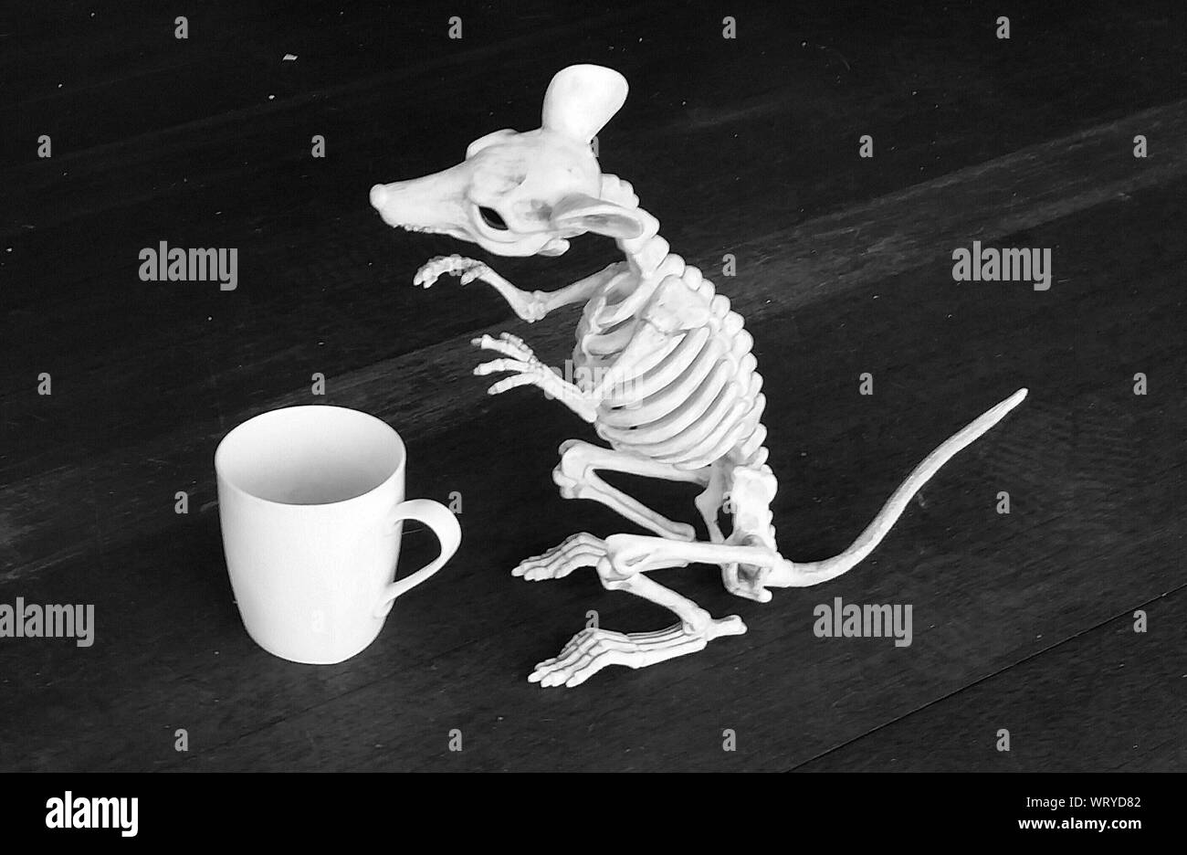 Skeleton On Floor High Resolution Stock Photography and Images - Alamy