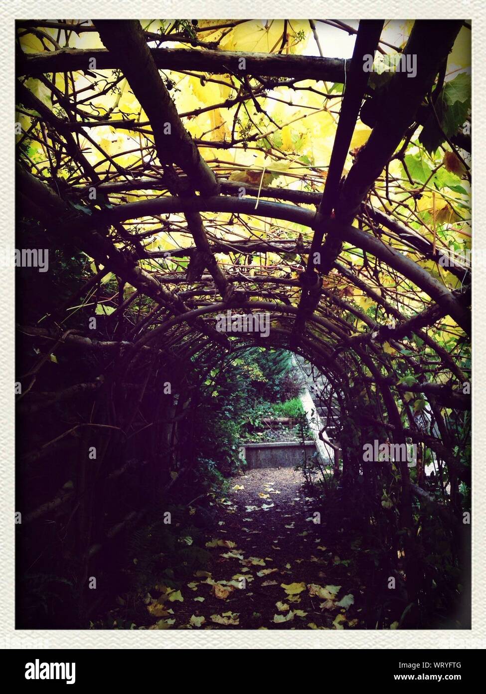 Arch walkway hi-res stock photography and images - Alamy
