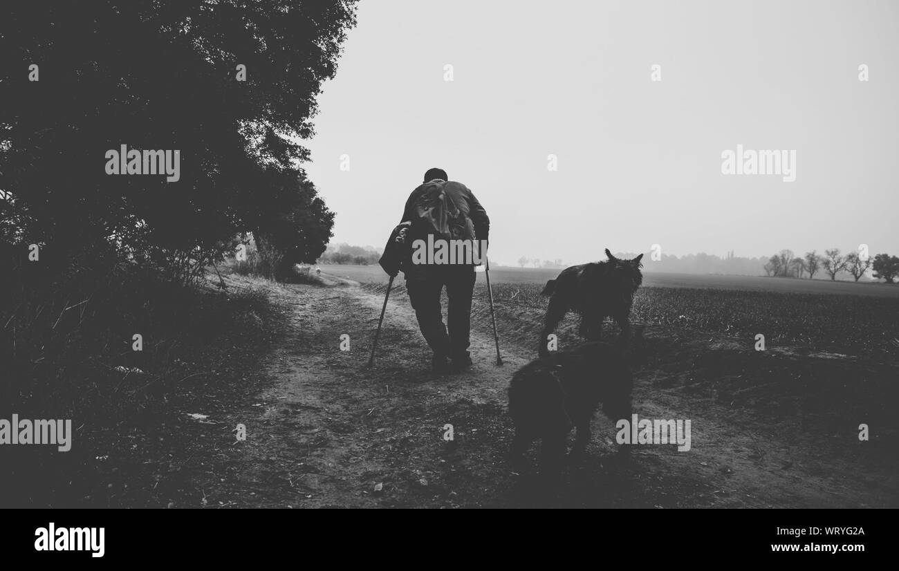 Supported walking hi-res stock photography and images - Alamy