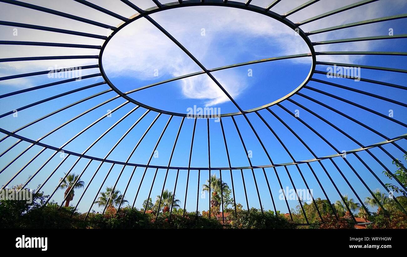 Tree skylight hi-res stock photography and images - Alamy