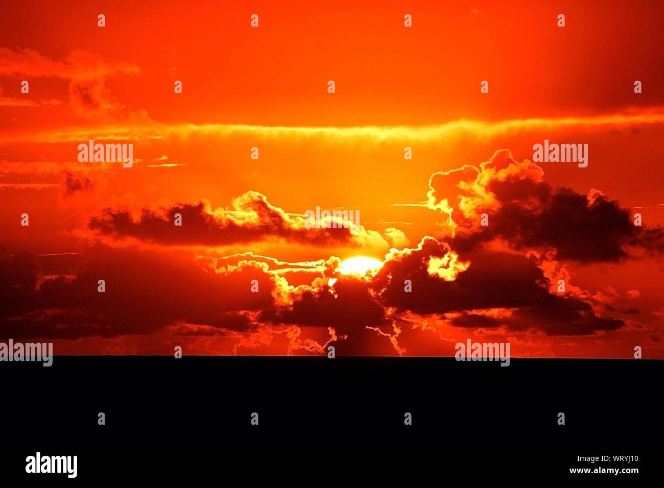 Extreme Colors High Resolution Stock Photography and Images - Alamy