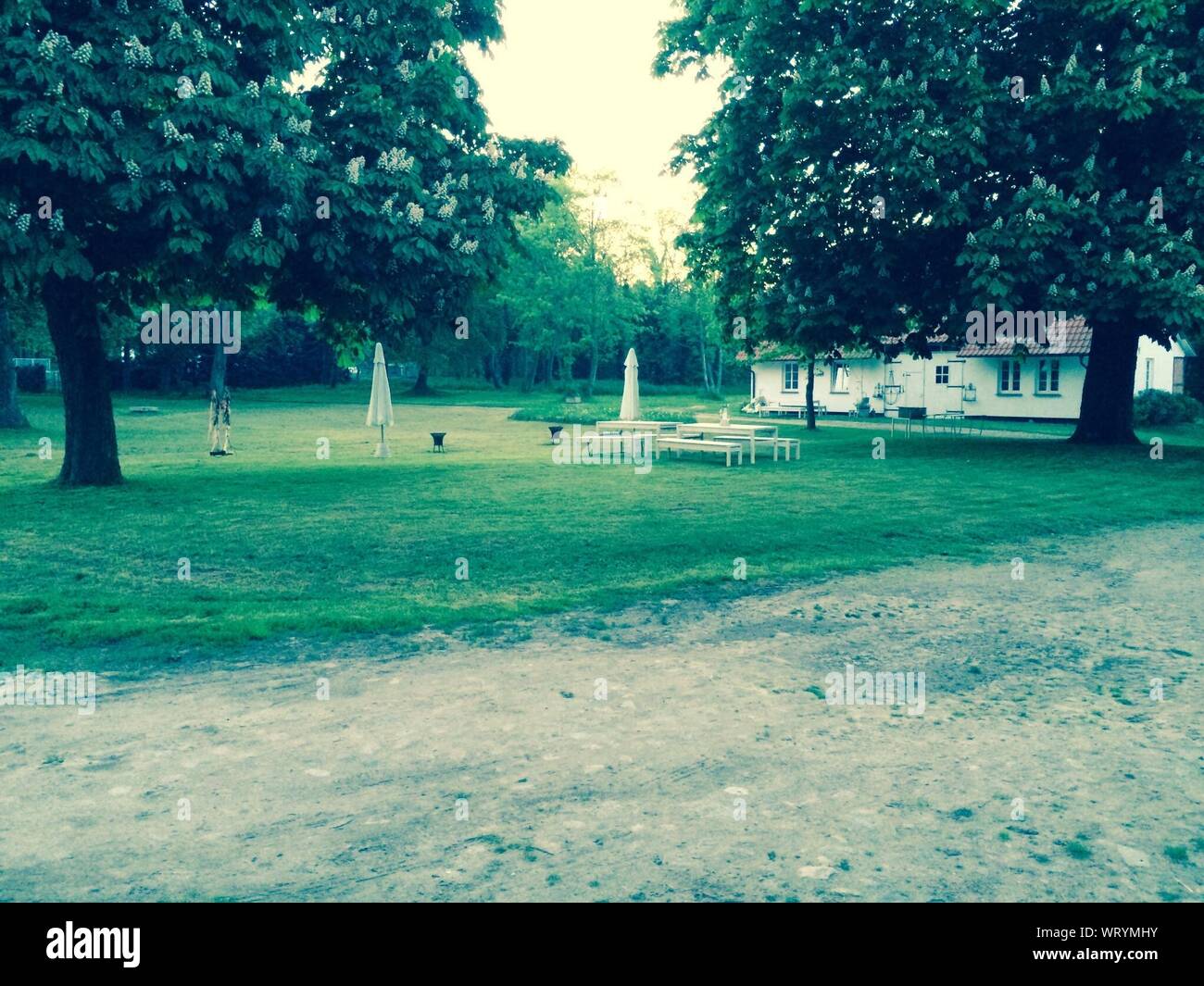 Garden behind hi-res stock photography and images - Alamy