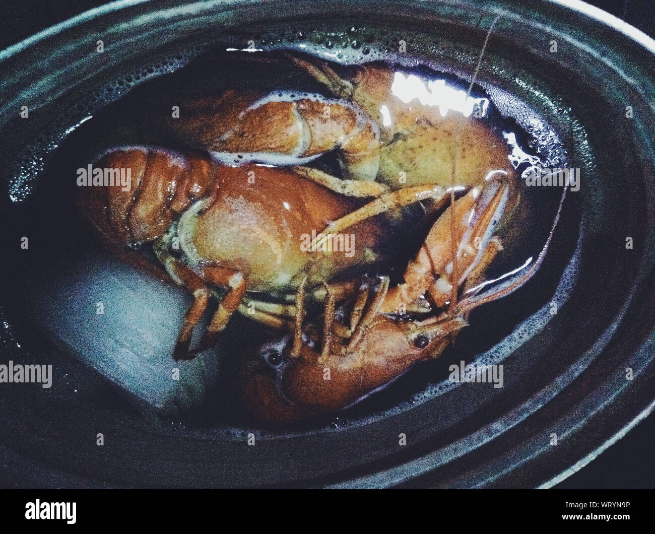 Lobster Container High Resolution Stock Photography and Images - Alamy