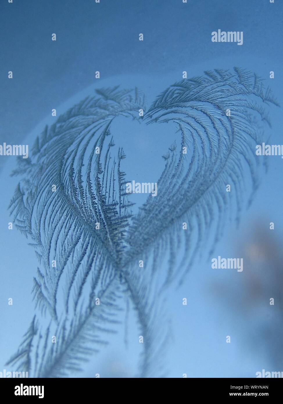 Shape of frost hi-res stock photography and images - Alamy