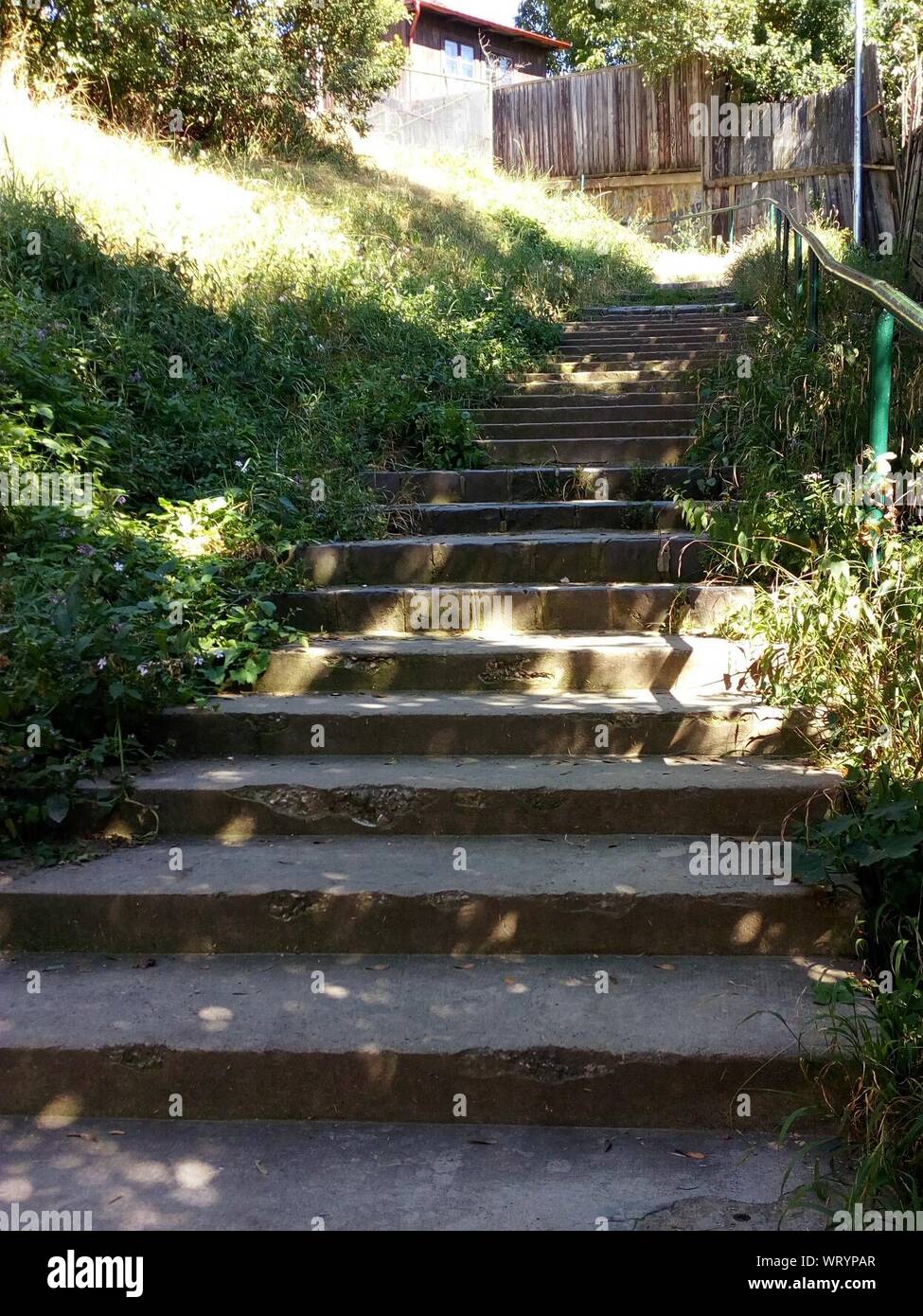 The steps and stairs hi-res stock photography and images - Alamy