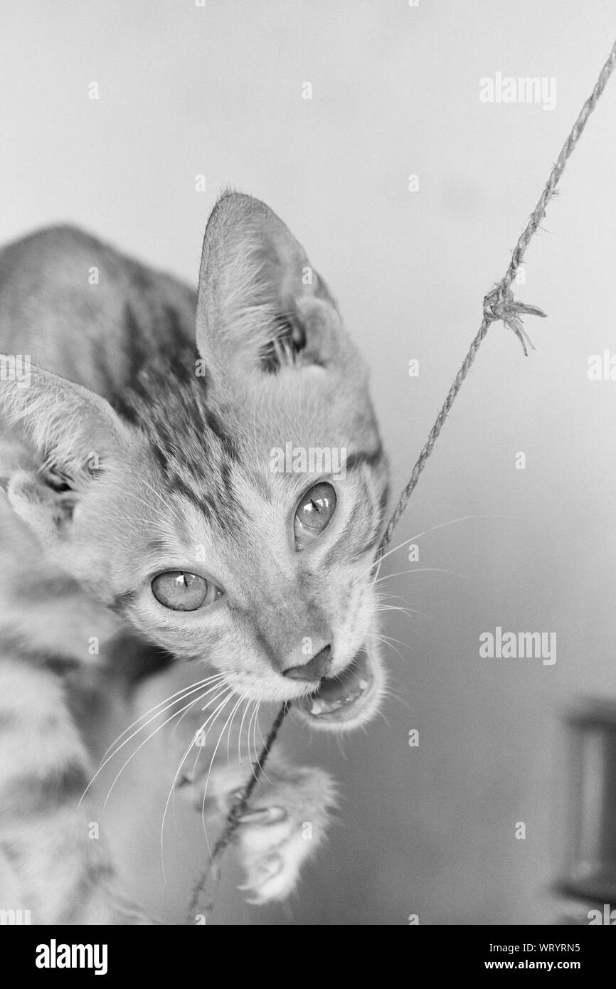 Open thread hi-res stock photography and images - Alamy