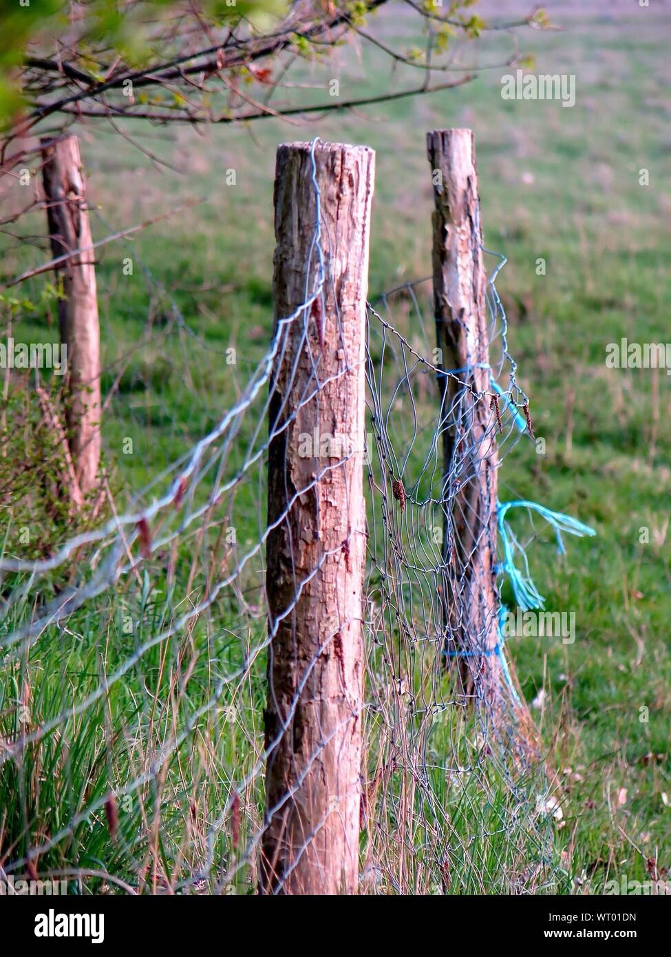 Fence of wooden poles hi-res stock photography and images - Alamy