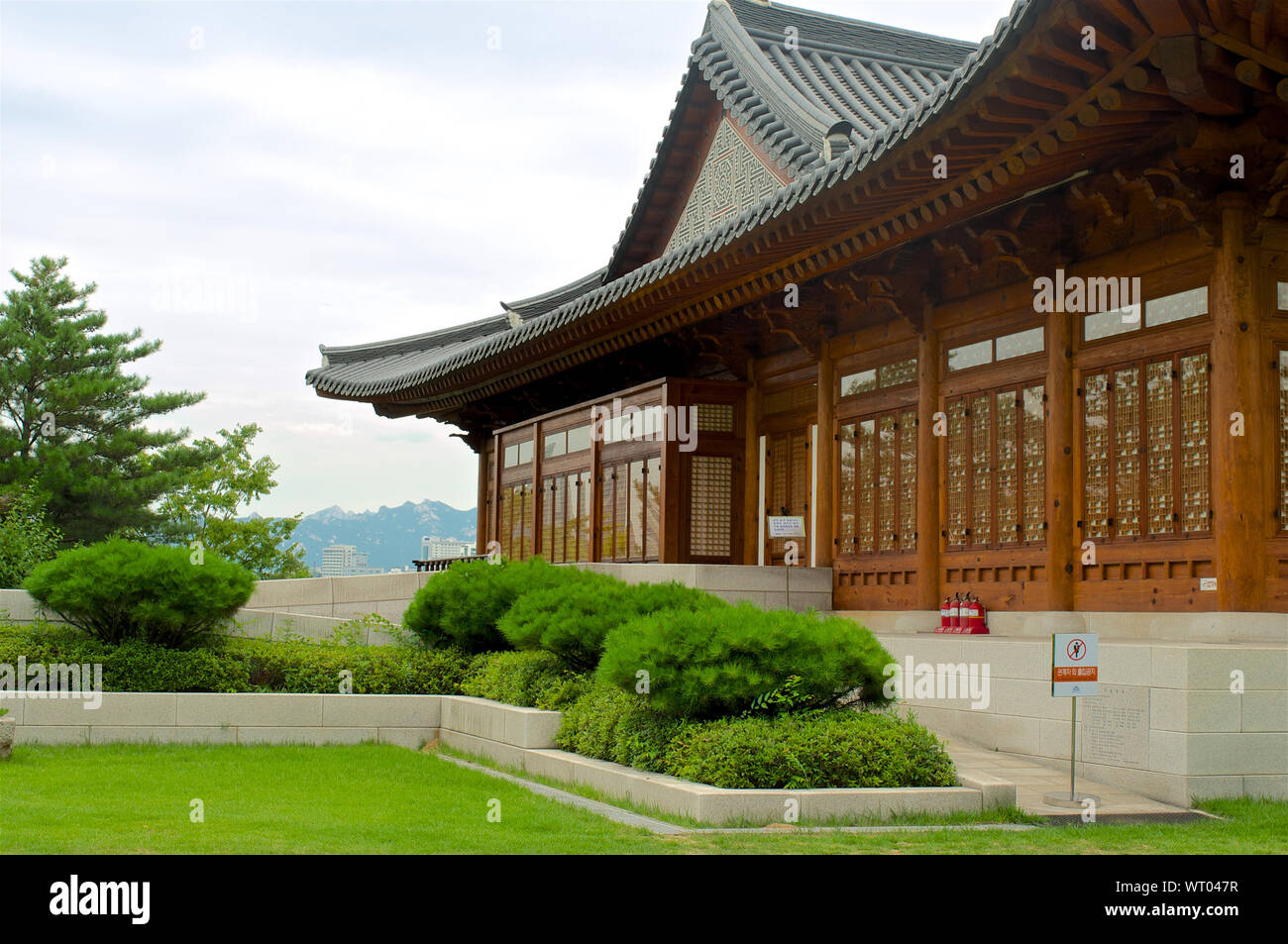 Traditional south korean tree hi-res stock photography and images - Alamy