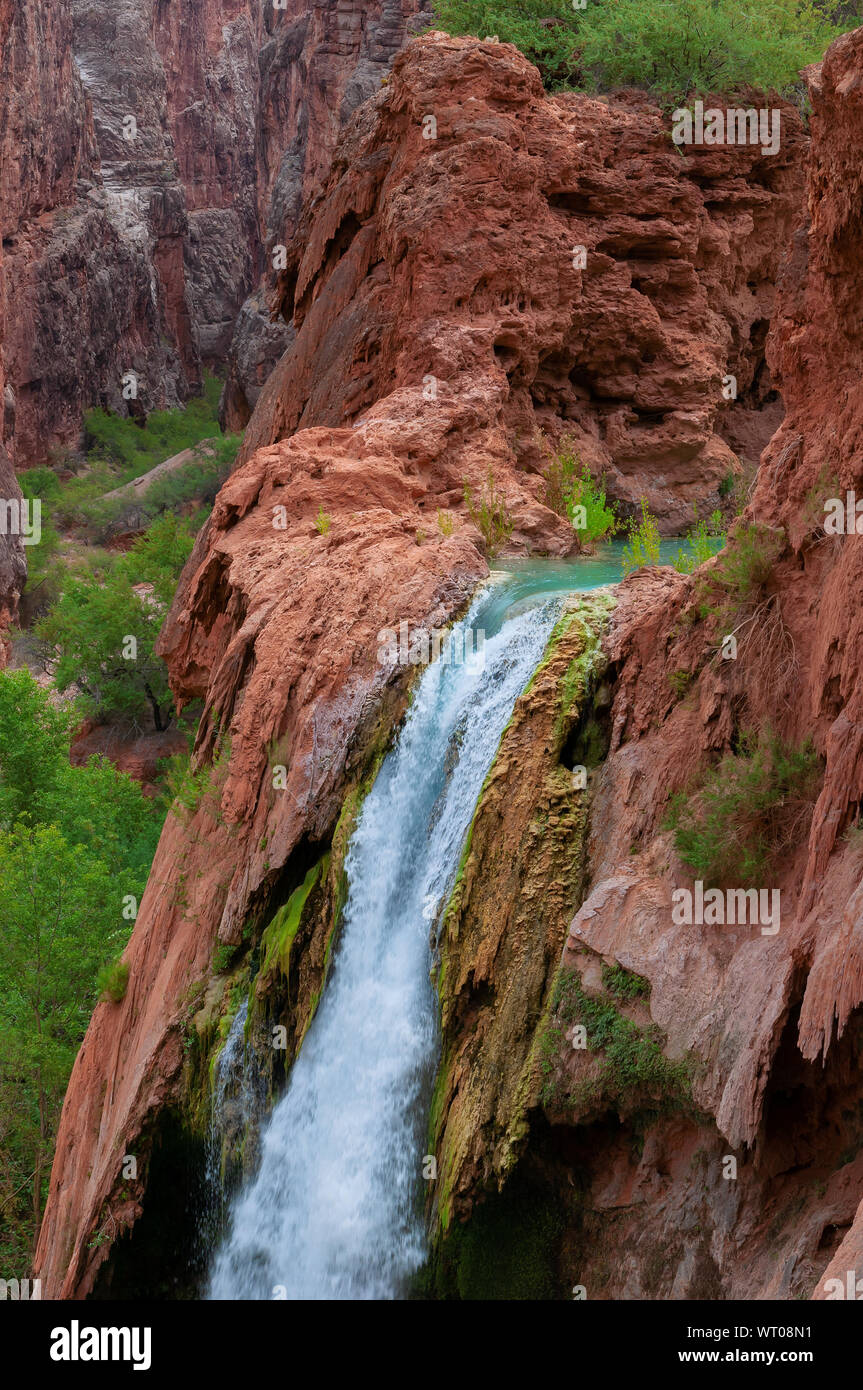 Havasu Falls - blue waterfalls in the Grand Canyon, Arizona Stock Photo ...