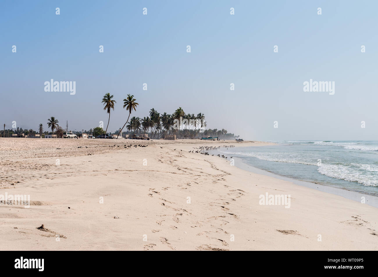 View of the Al Haffa beach in Salalah, Oman, Indian Ocean Stock Photo ...
