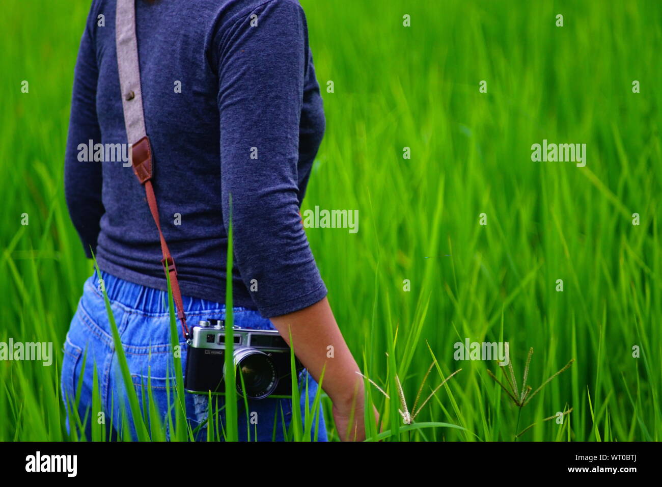 Portrait of a woman walking in a rice field photo Stock Photo - Alamy