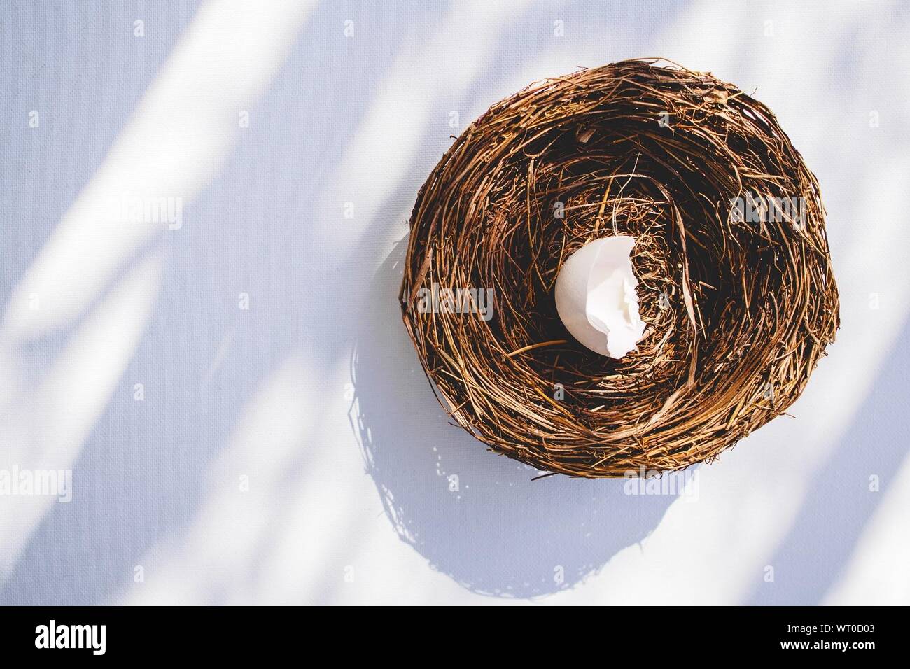 Broken Bird High Resolution Stock Photography and Images - Alamy