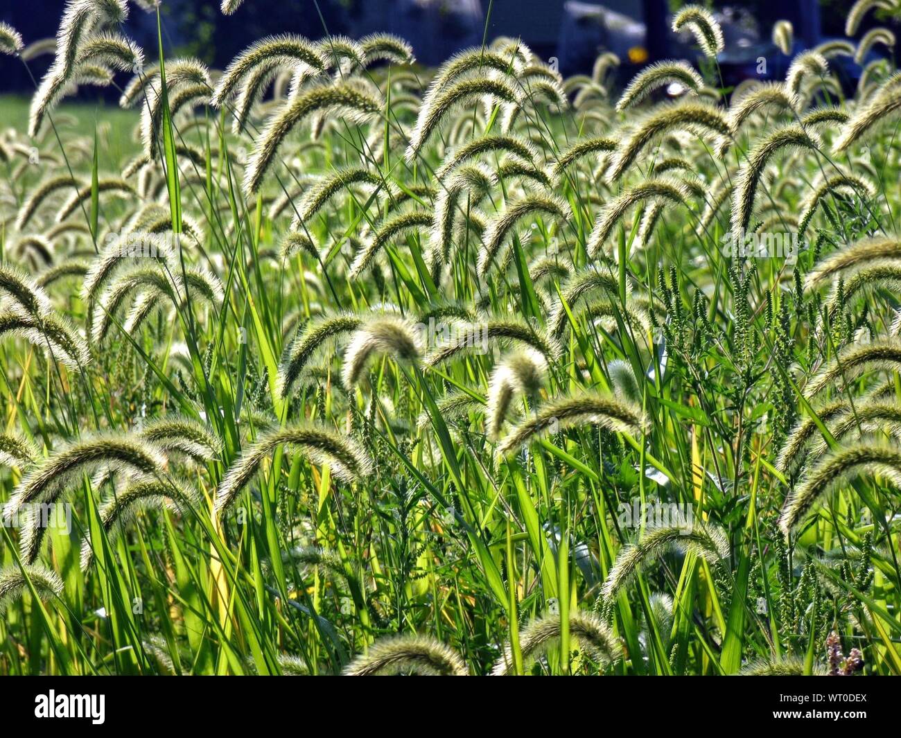Close crop hi-res stock photography and images - Alamy