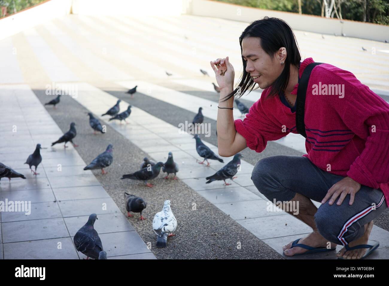 Man feeding birds hi-res stock photography and images - Alamy