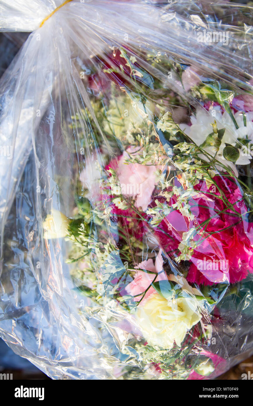 Carnation Flowers, Gypso flowers in plastic bag, Waste garbage, Flowers ...