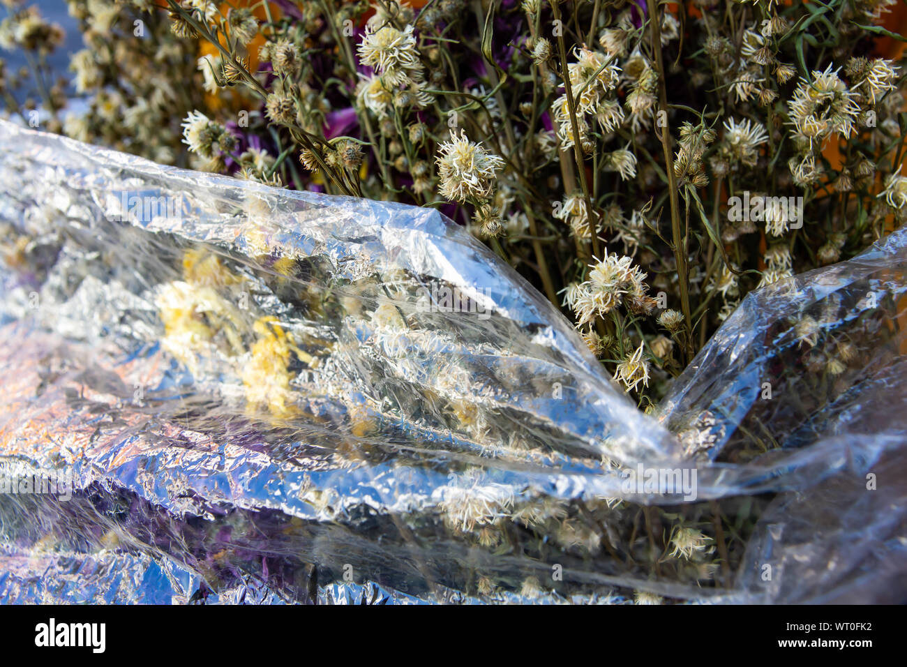 Bouquet flowers in trash hi-res stock photography and images - Alamy