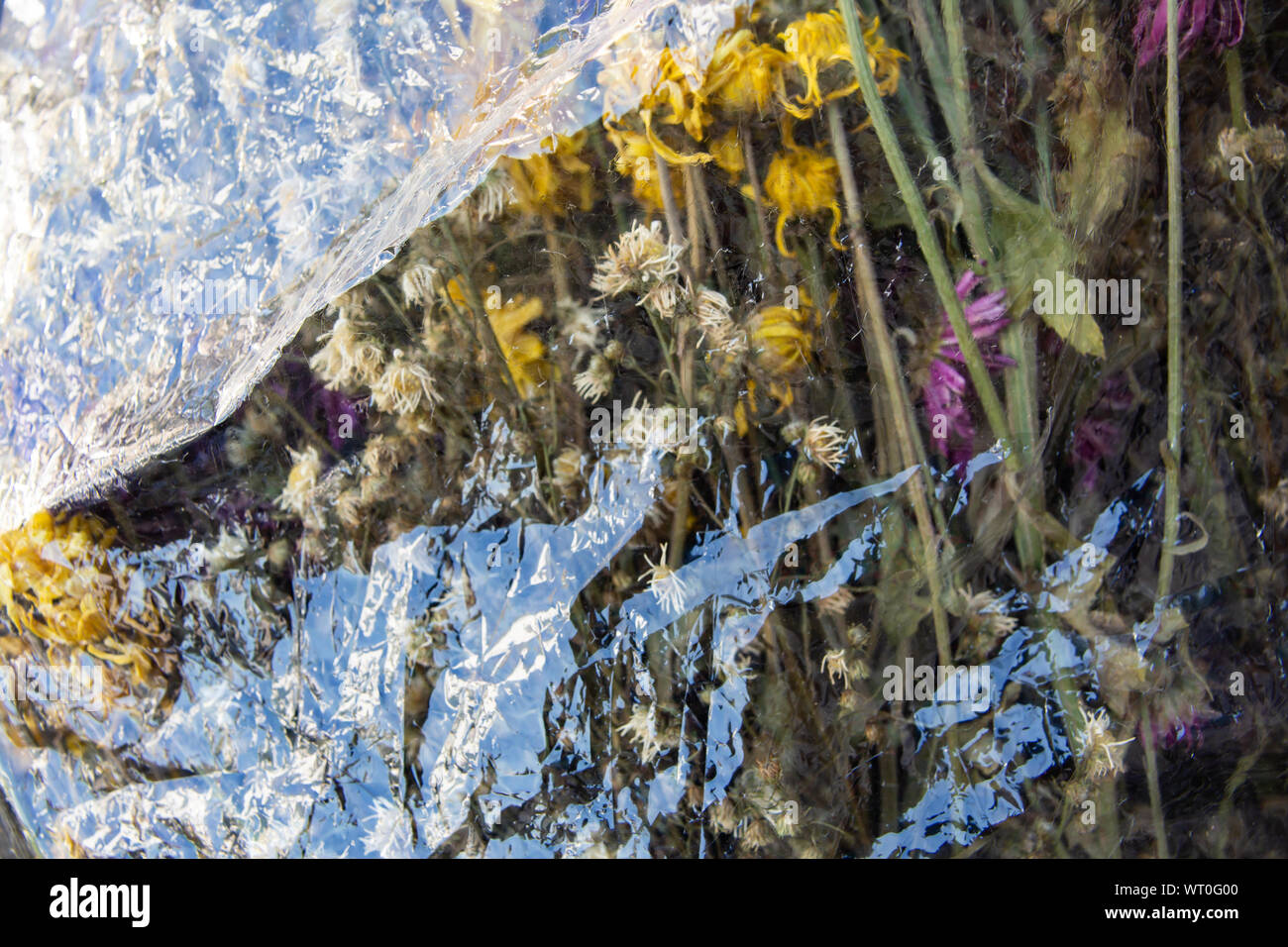 Flowers waste garbage hi-res stock photography and images - Alamy