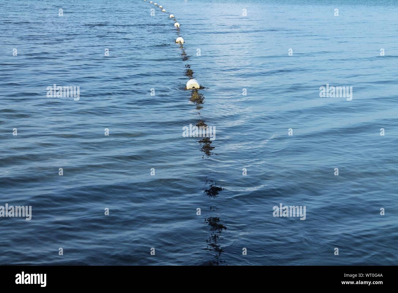 Buoys Water High Resolution Stock Photography and Images - Alamy