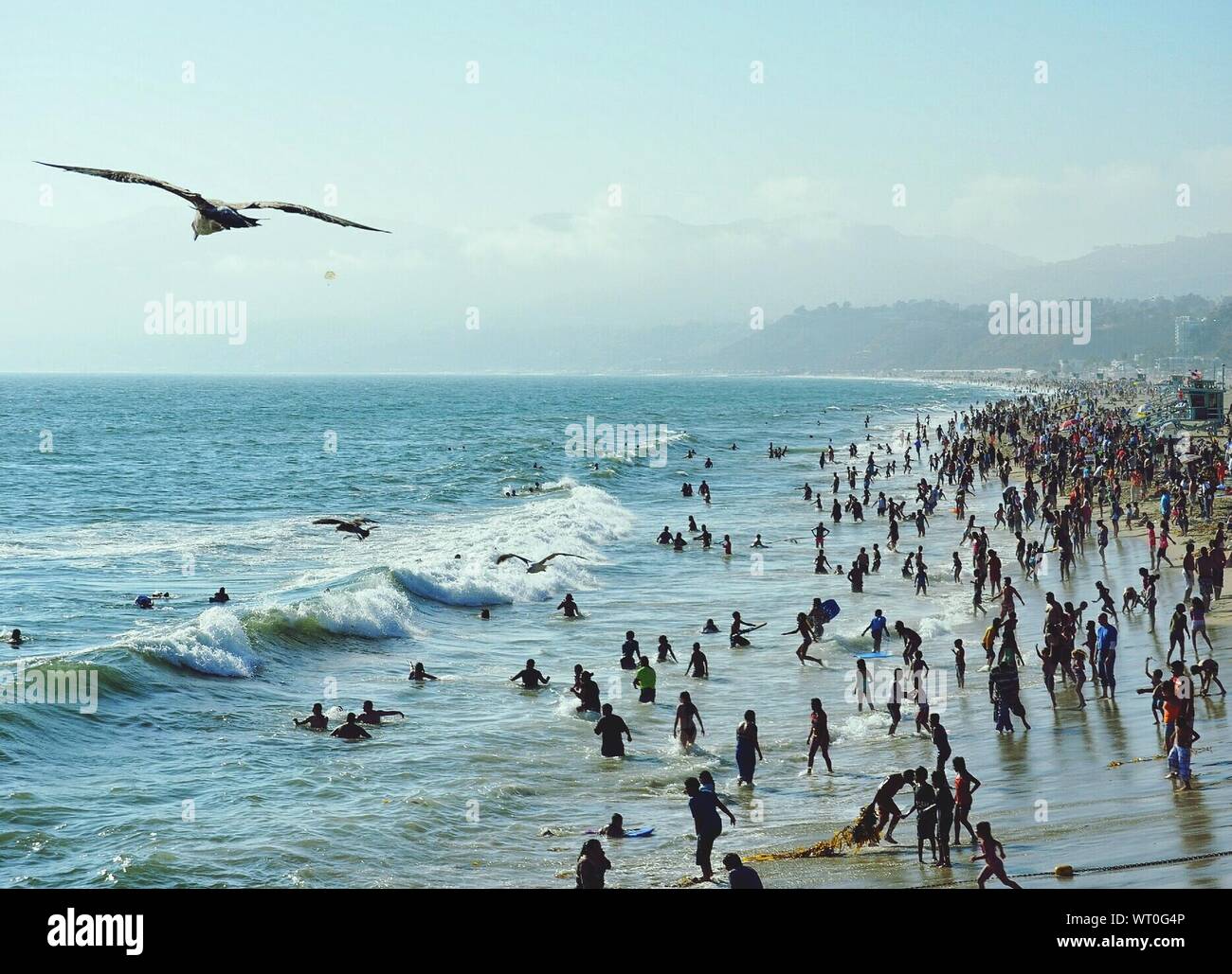 Over crowded hi-res stock photography and images - Alamy