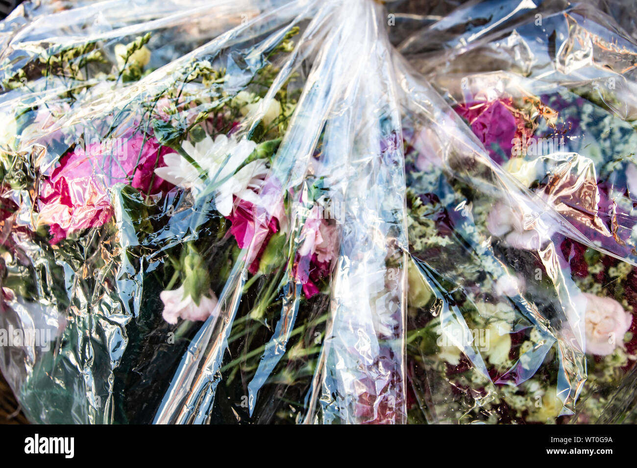 Gypso flowers hi-res stock photography and images - Alamy