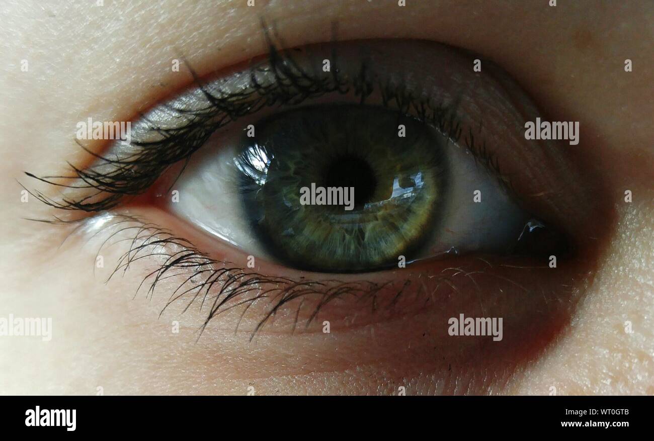 Green eye close up hi-res stock photography and images - Alamy