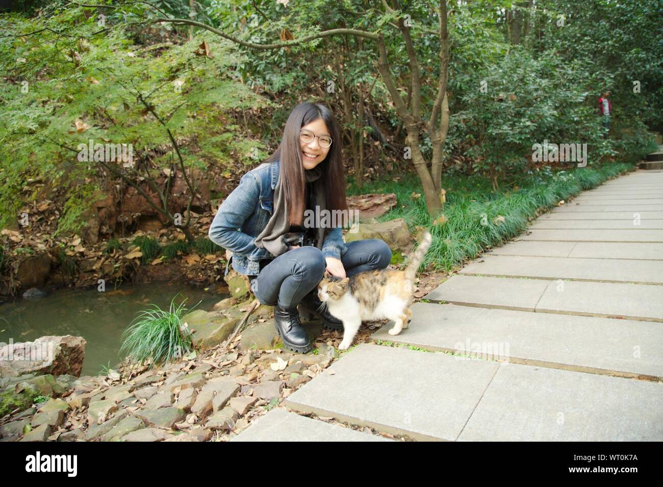 Indian stray cat hi-res stock photography and images - Alamy