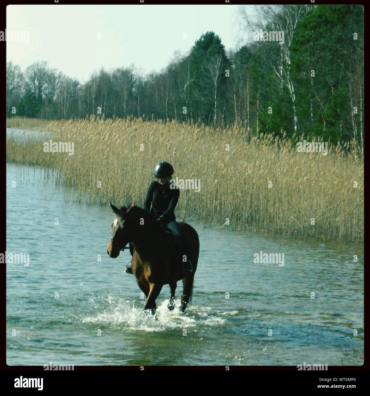 Horse riding in the water hi-res stock photography and images - Alamy