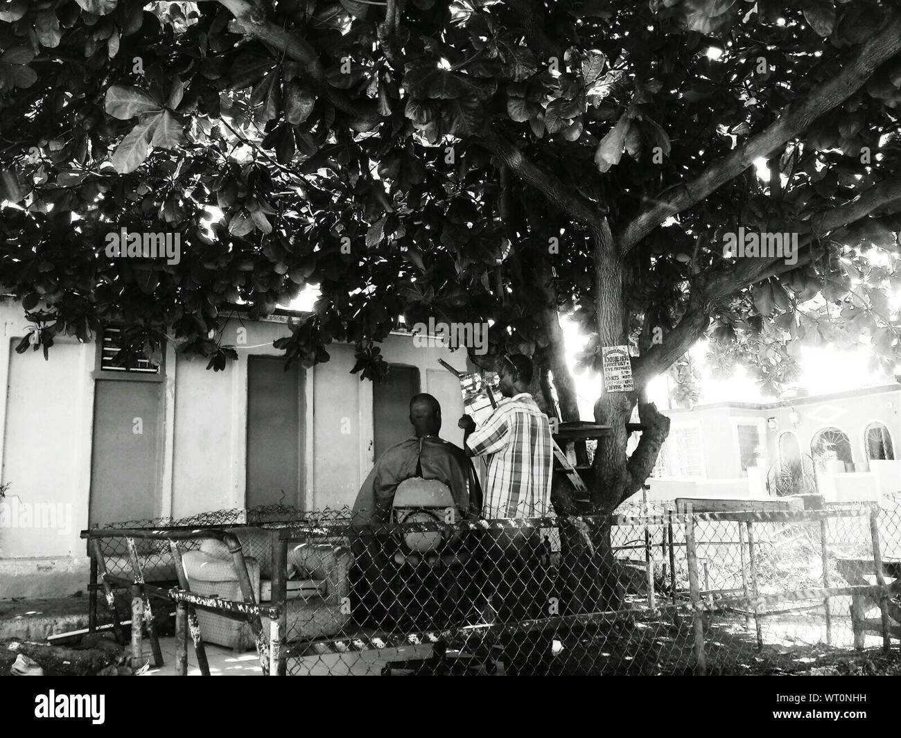 Two Men Sitting Under Tree High Resolution Stock Photography and Images ...