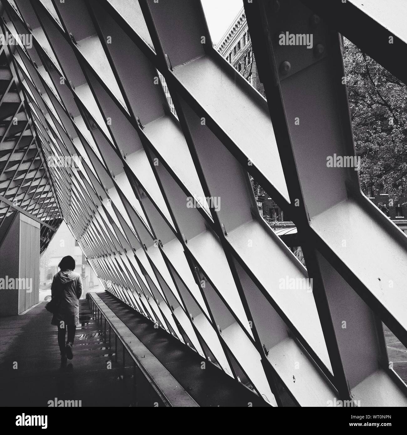 Seattle Public Library High Resolution Stock Photography and Images - Alamy