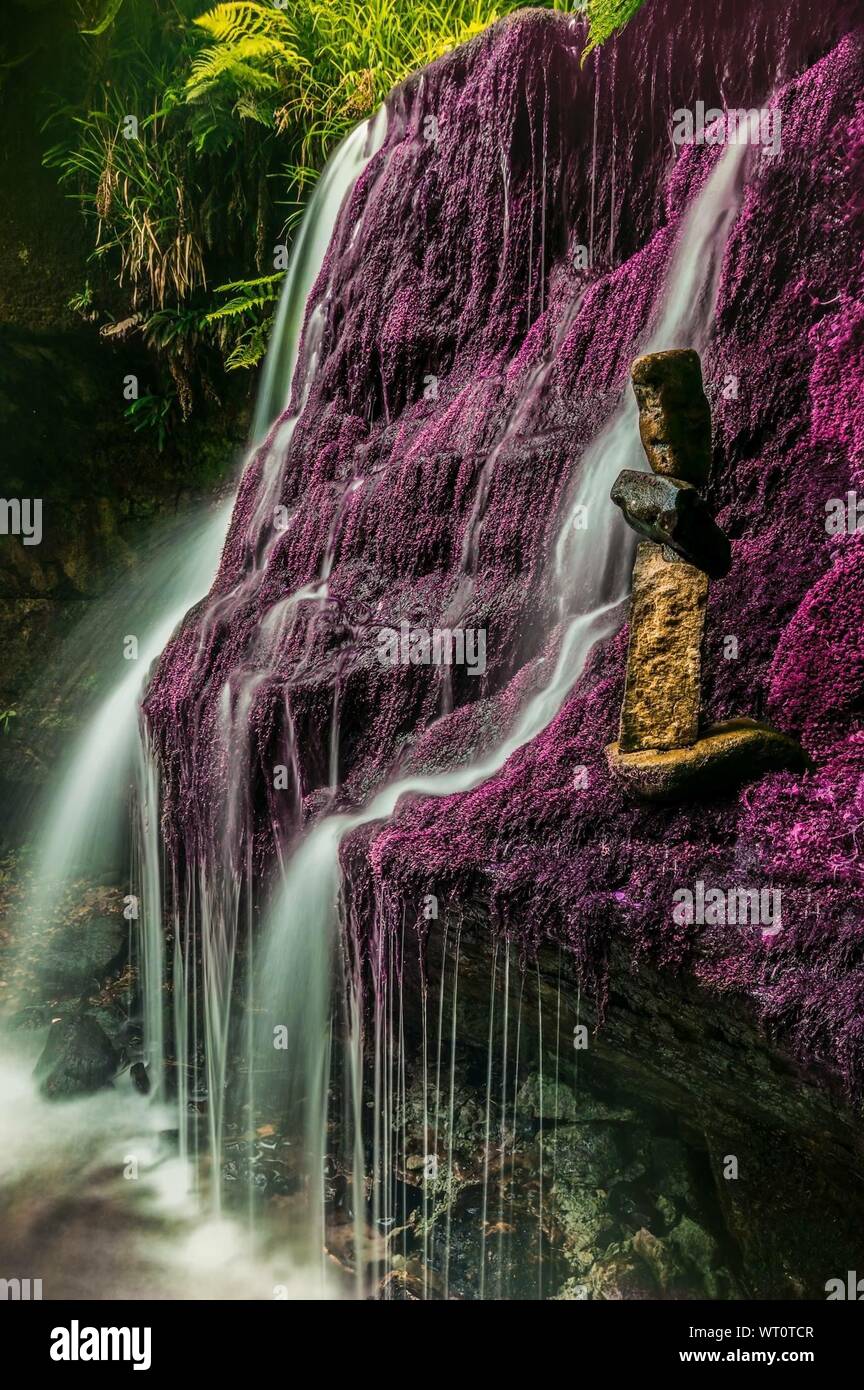 Moss rock hi-res stock photography and images - Alamy