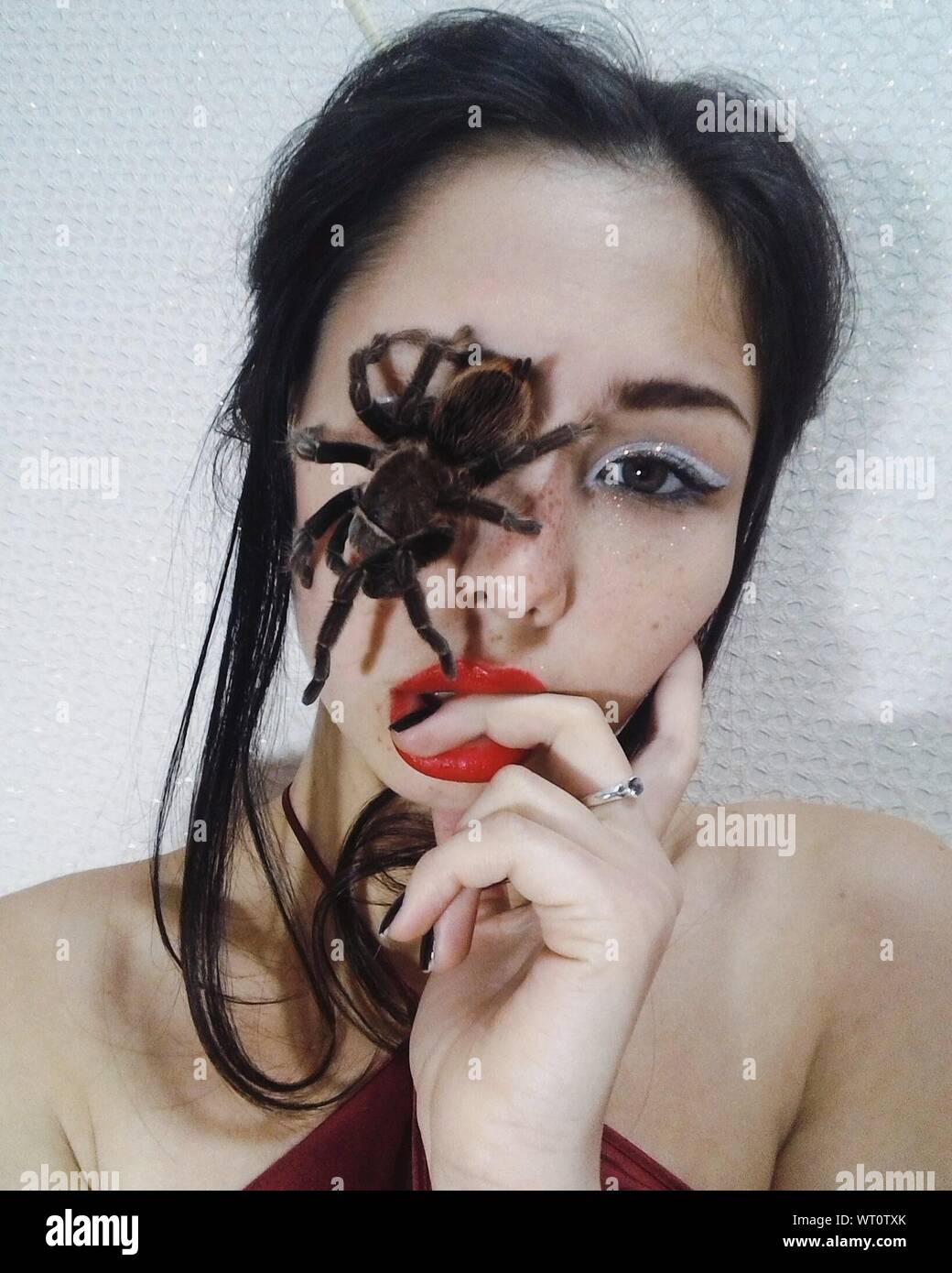 Tarantula On Face High Resolution Stock Photography and Images - Alamy
