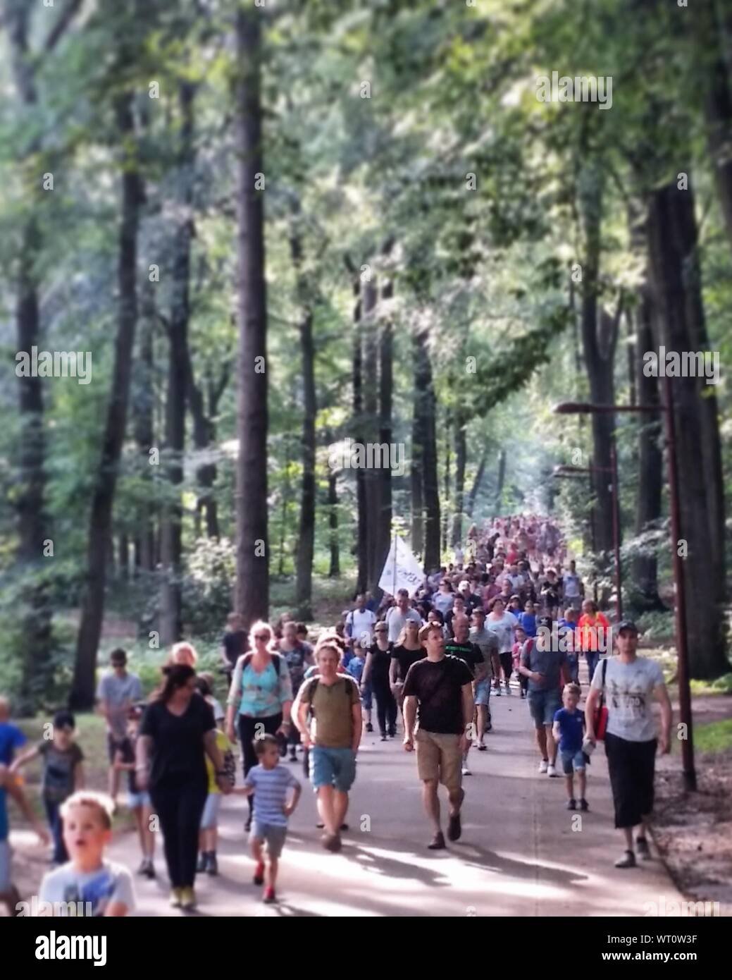 Marching large hi-res stock photography and images - Alamy