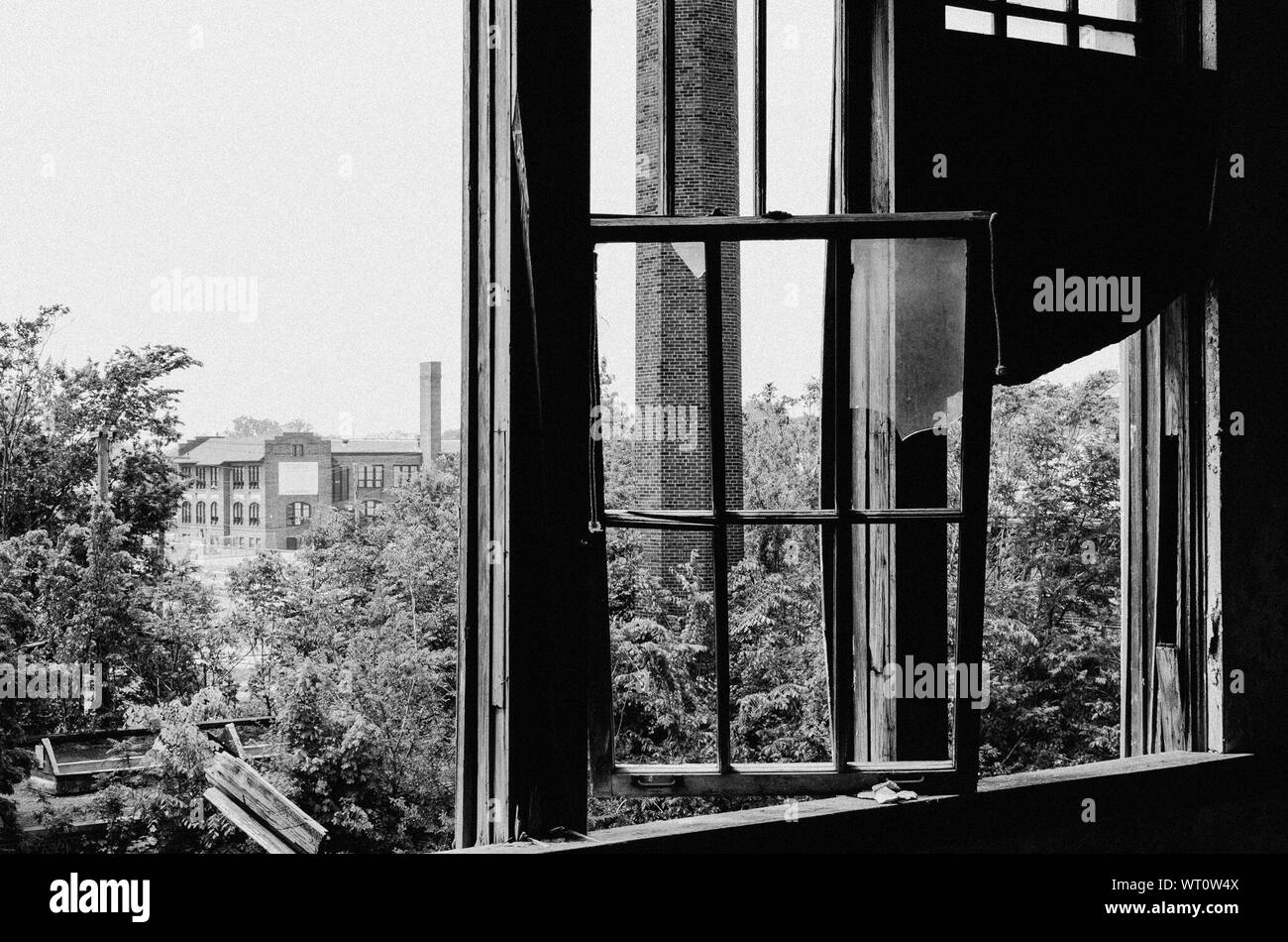 Smoke through trees hi-res stock photography and images - Alamy