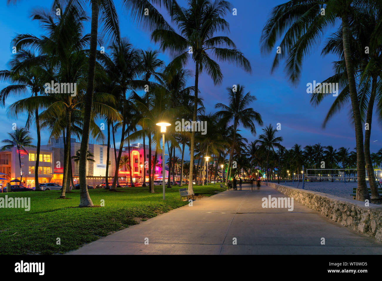Promenade alley at night in Miami Beach, Florida Stock Photo - Alamy